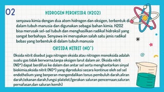Kelompok 4_Radikal Bebas.pdf
