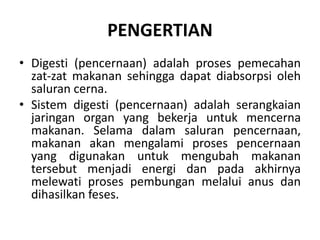 SISTEM PENCERNAAN PADA HEWAN VERTEBRATA.pptx