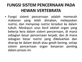 SISTEM PENCERNAAN PADA HEWAN VERTEBRATA.pptx