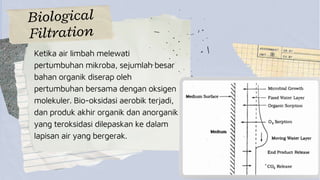KELOMPOK 4 TRICKLING FILTER (SATUAN PROSES).pptx