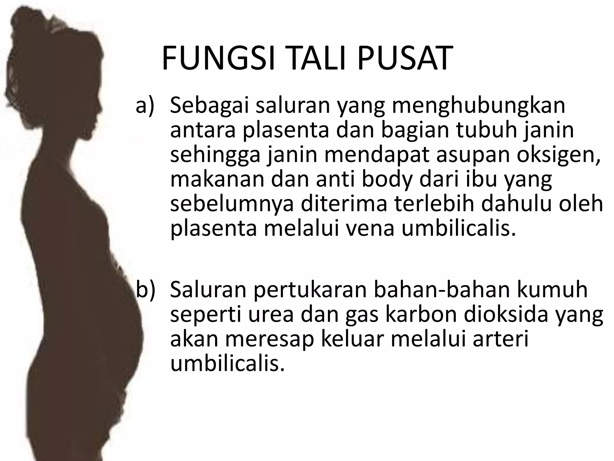 Struktur Fungsi Amnion, Plasenta dan Tali Pusat | PPTX