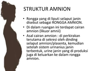 Struktur Fungsi Amnion, Plasenta dan Tali Pusat | PPTX