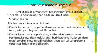 Anatomi fisiologi sistem integumen | PPT