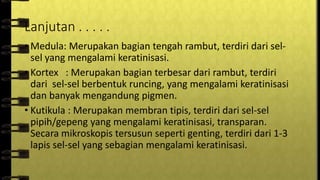 Anatomi fisiologi sistem integumen | PPT