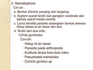 Nematophora