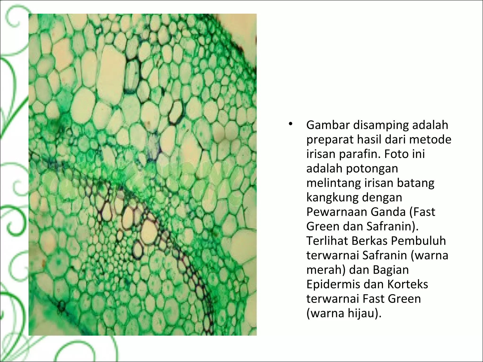 Kelompok 5 metode irisan | PPT