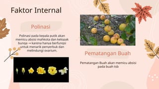 Abscission?Absisi Fisiologi Tumbuhan.pptx