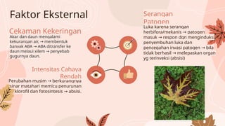 Abscission?Absisi Fisiologi Tumbuhan.pptx