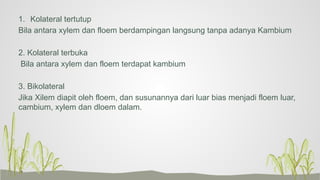 kelompok 5 anatomi tumbuhan.pptx biologi | PPTX