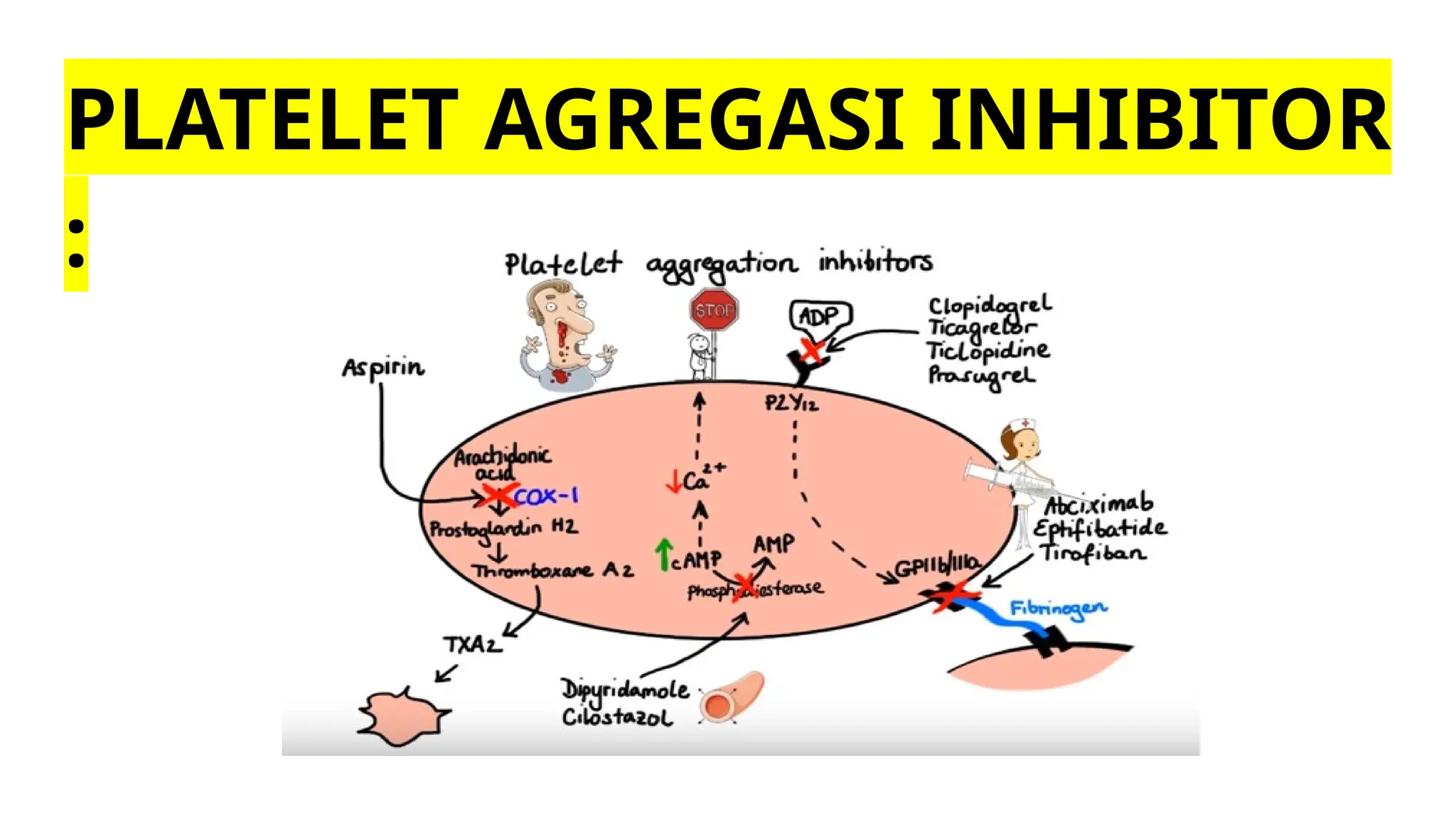 Kelompok 5_Antikoagulan dan Antiplatelet.pptx