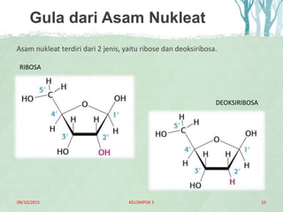 Kelompok 5 biokimia | PPTX
