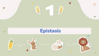 KELOMPOK 5 GENETIKA gen dominan rangkap.pptx