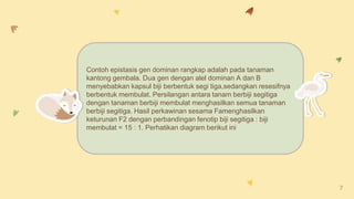 KELOMPOK 5 GENETIKA gen dominan rangkap.pptx