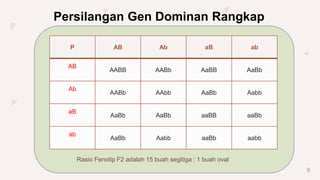 KELOMPOK 5 GENETIKA gen dominan rangkap.pptx