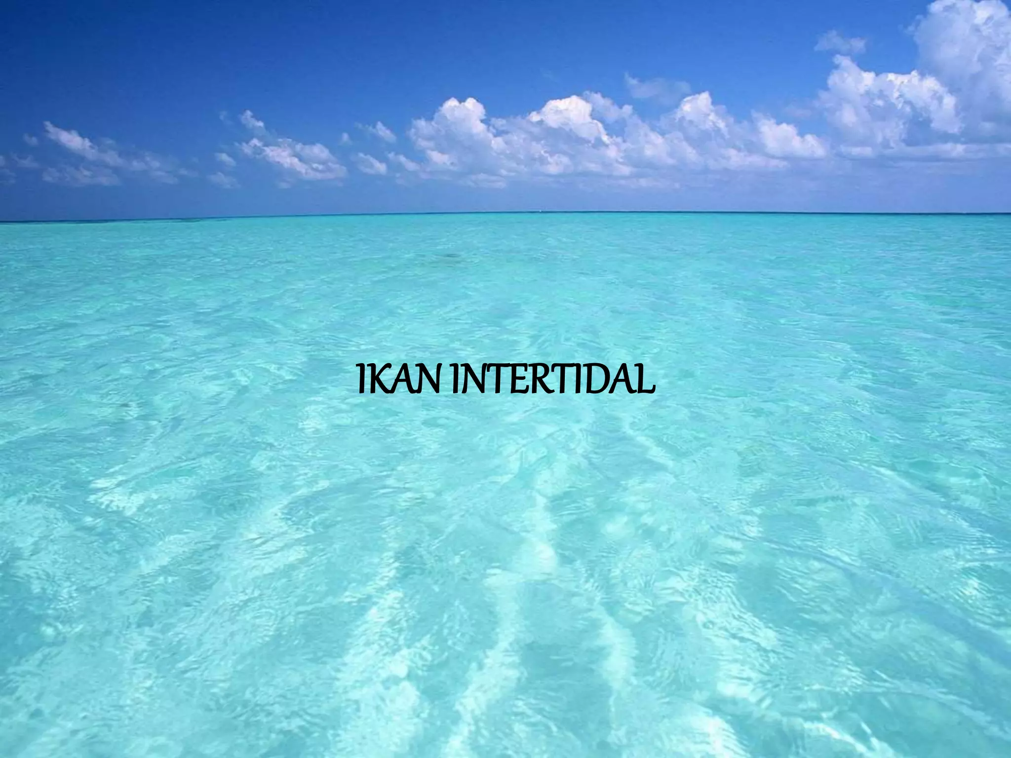 Ikan Intertidal | PPTX
