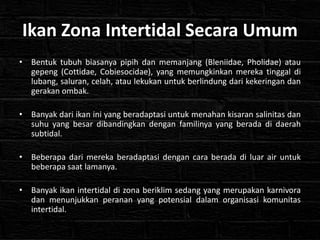 Ikan Intertidal | PPTX