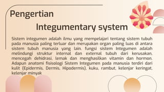 Integunentary System_Biology reproduction and genetika dasar | PPT