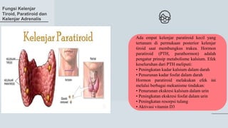 KELOMPOK 5 SISTEM ENDOKRIN.pptx