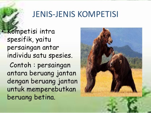 KOMPETISI