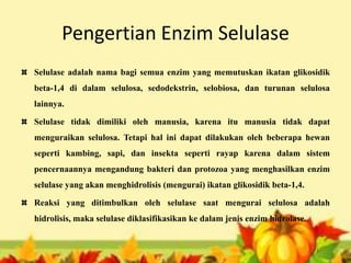 Enzim Selulose | PPTX