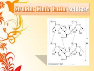 Enzim Selulose | PPTX