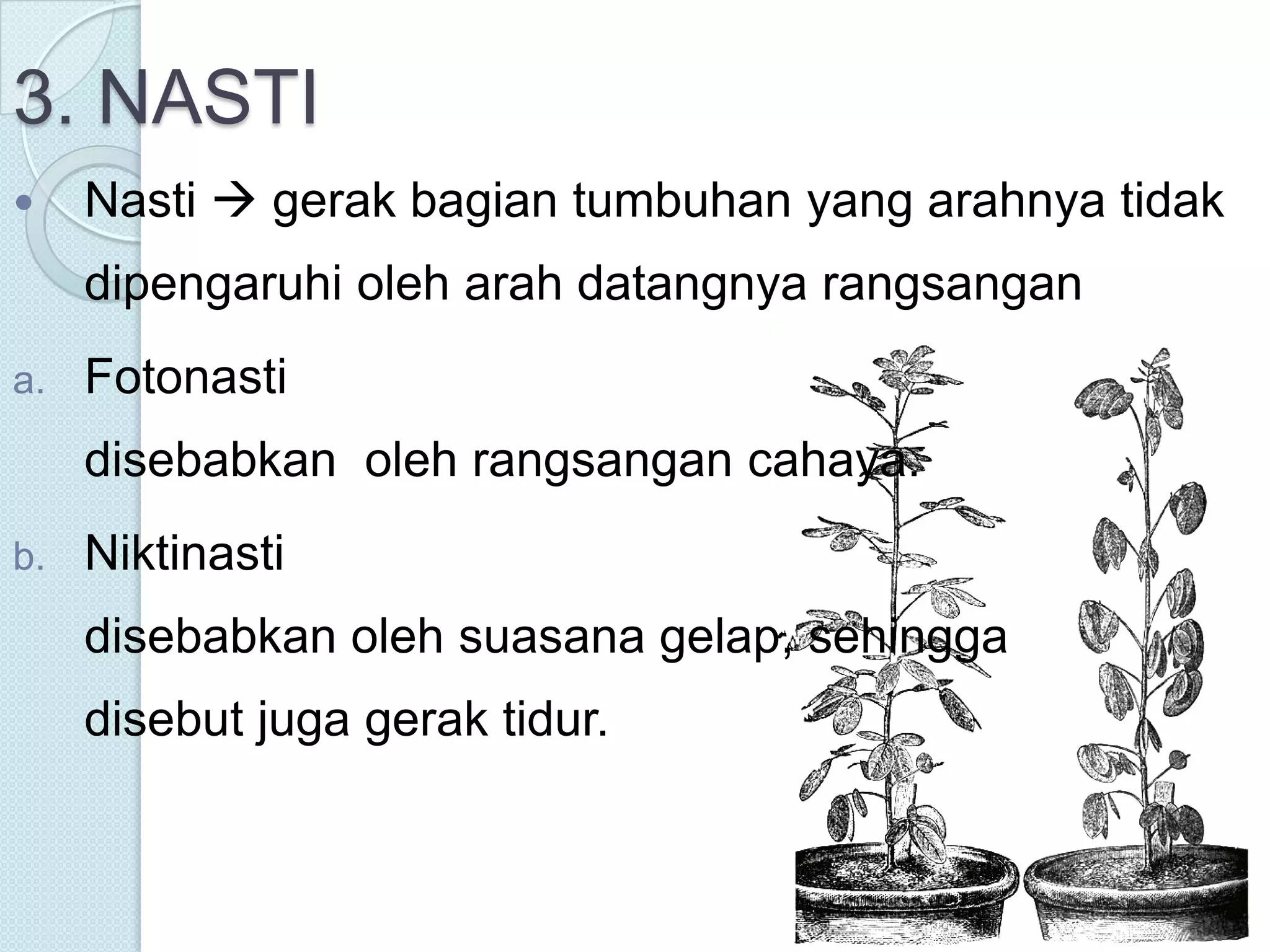 Gerak Pada Tumbuhan | PPTX