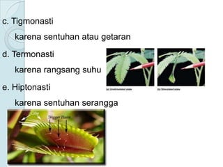 Gerak Pada Tumbuhan | PPTX