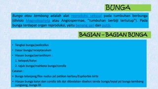 Bunga - Biologi | PPTX