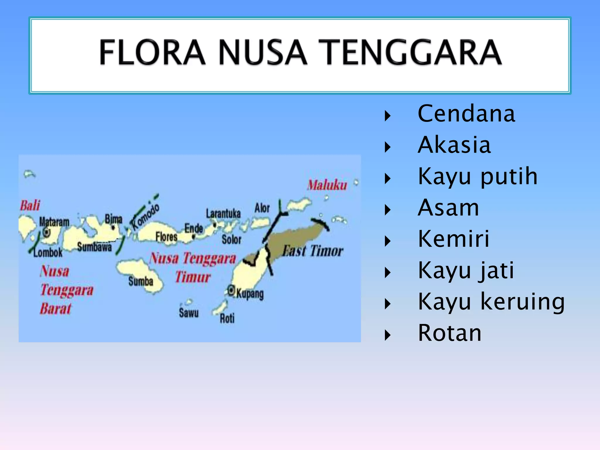 FLORA NUSA TENGGARA | PPTX