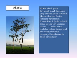 FLORA NUSA TENGGARA | PPTX