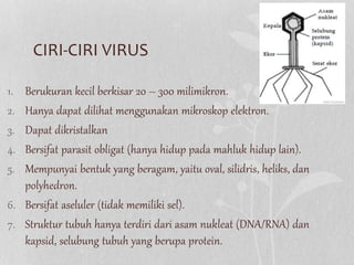 VIRUS | PPT