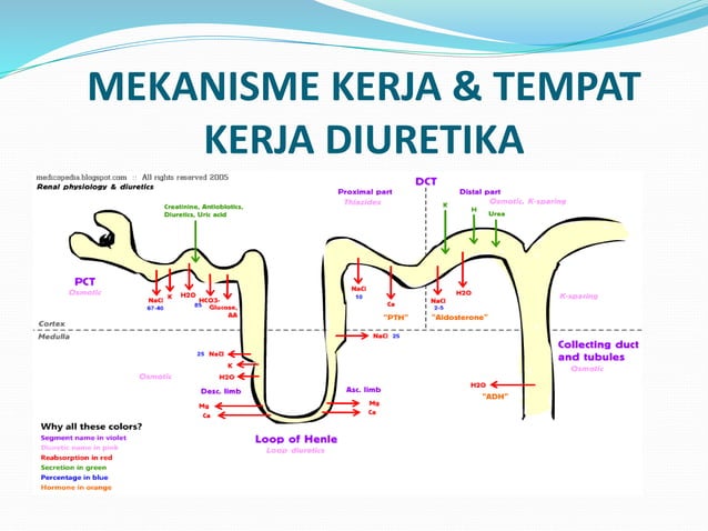 EFEK DIURETIK PPT | PPTX