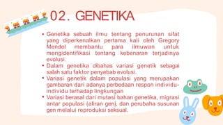 Kelompok 6 Evolusi.pptx