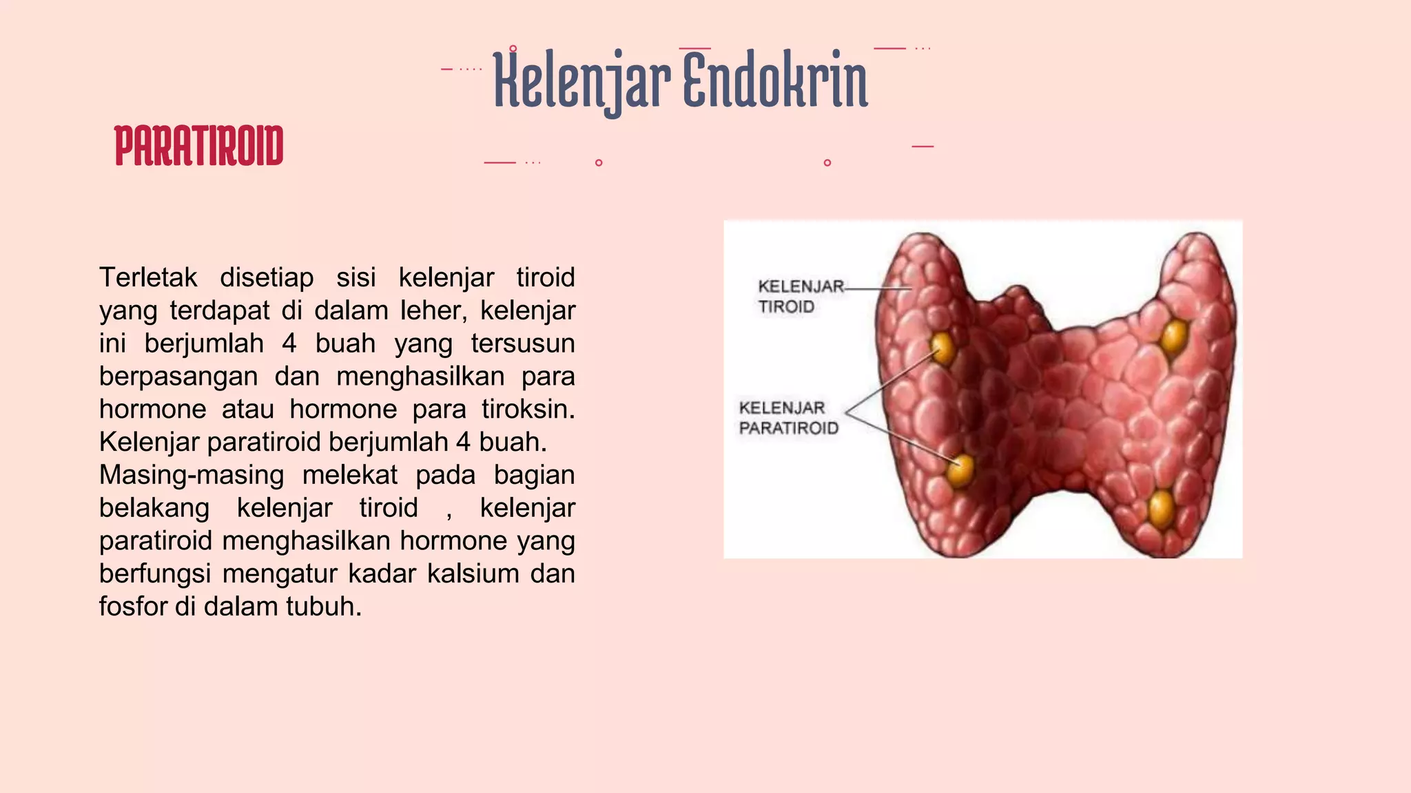 Kelompok 6_Hormon, Enzim, dan Koenzim.pptx