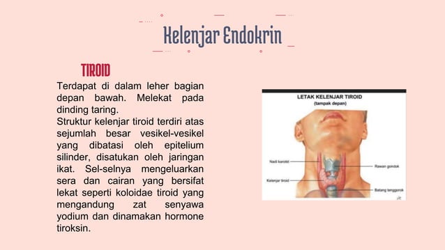 Kelompok 6_Hormon, Enzim, dan Koenzim.pptx