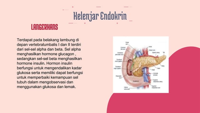 Kelompok 6_Hormon, Enzim, dan Koenzim.pptx