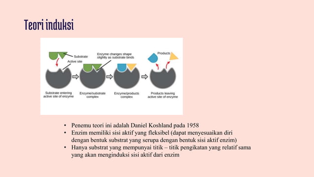 Kelompok 6_Hormon, Enzim, dan Koenzim.pptx