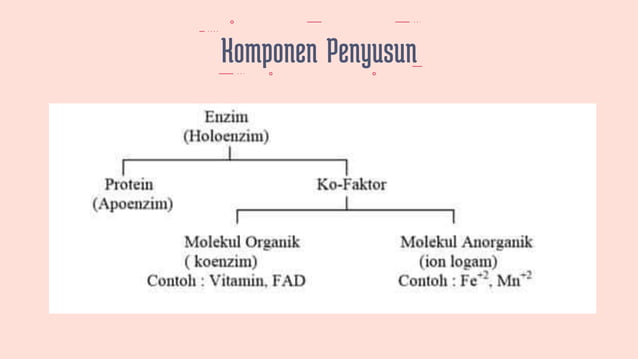 Kelompok 6_Hormon, Enzim, dan Koenzim.pptx