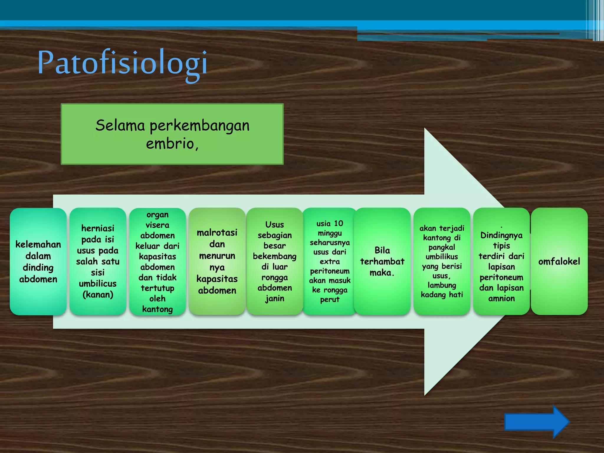 omfalokel | PPT
