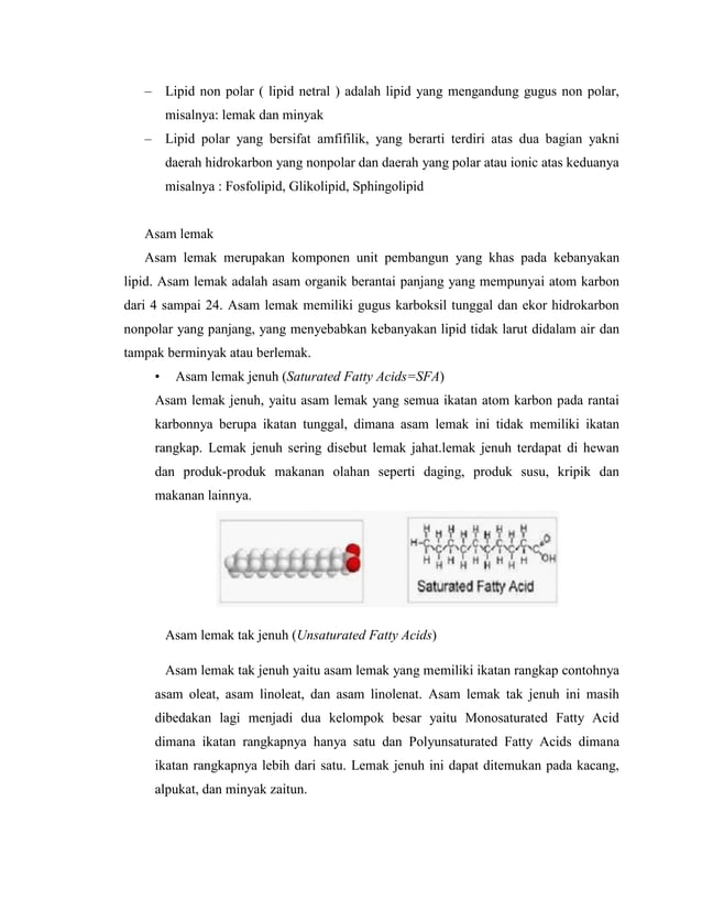 Riingkasan lipid | PDF