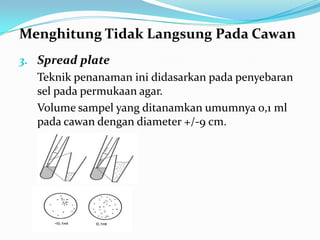 Kelompok 7 | PPTX