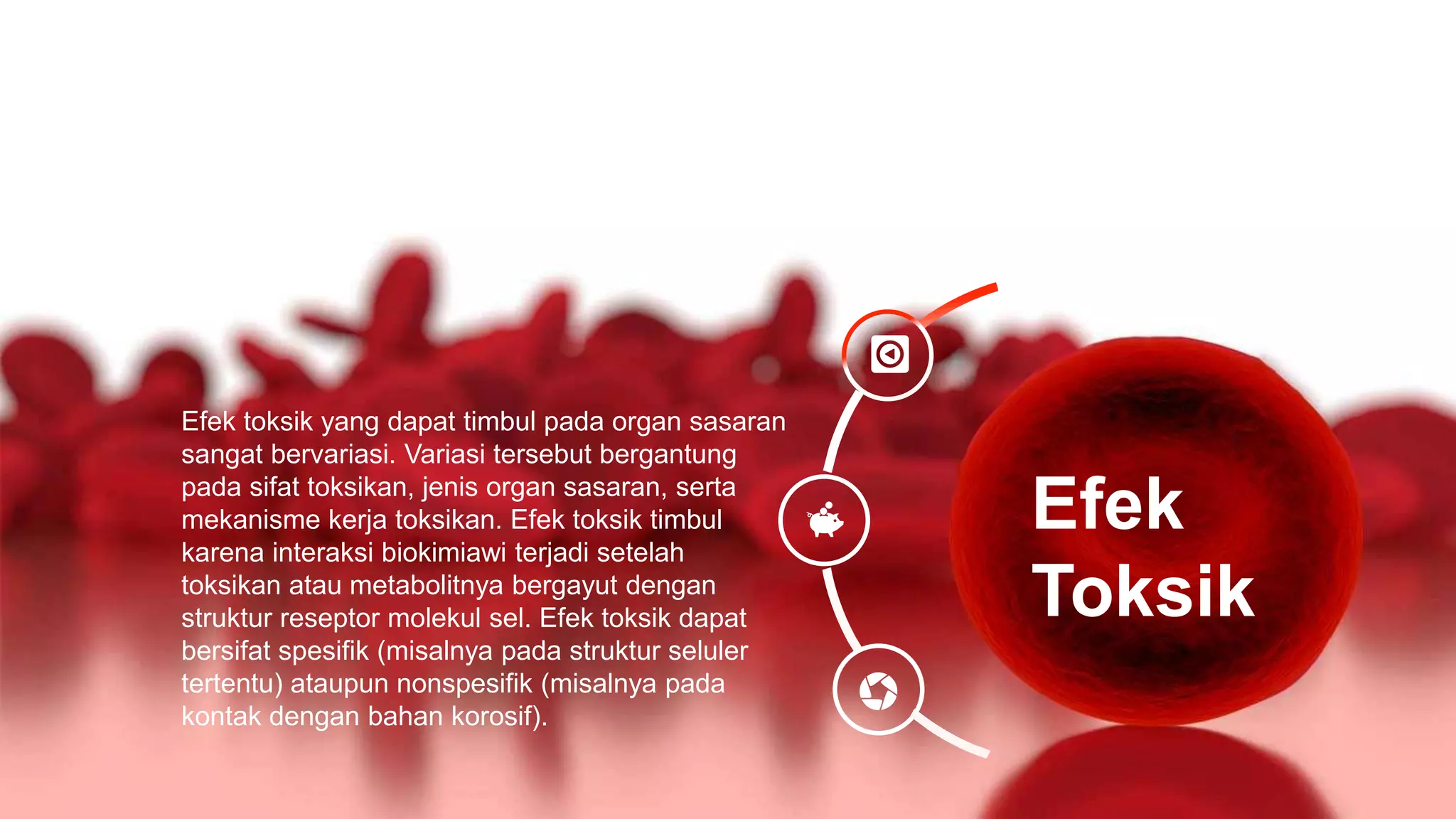 KELOMPOK 7- TOKSISITAS HATI.pptx