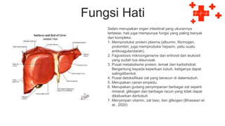 KELOMPOK 7- TOKSISITAS HATI.pptx