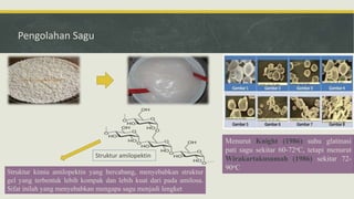 Biokimia Pangan (Beras, Jagung dan Sagu) | PPTX