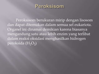 Kelompok 7 biologi | PPT