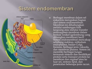 Kelompok 7 biologi | PPT