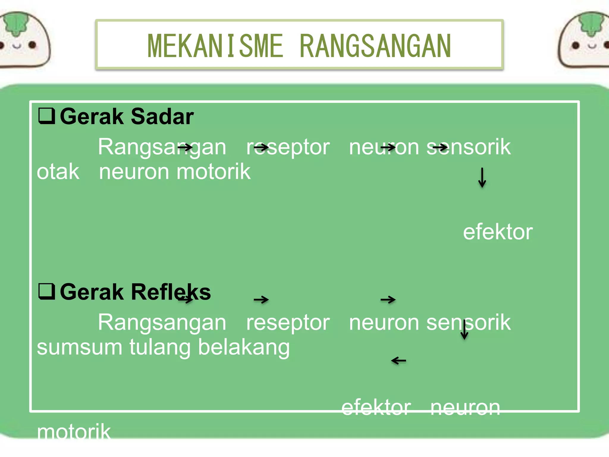 Sistem Saraf (Biologi) | PPTX