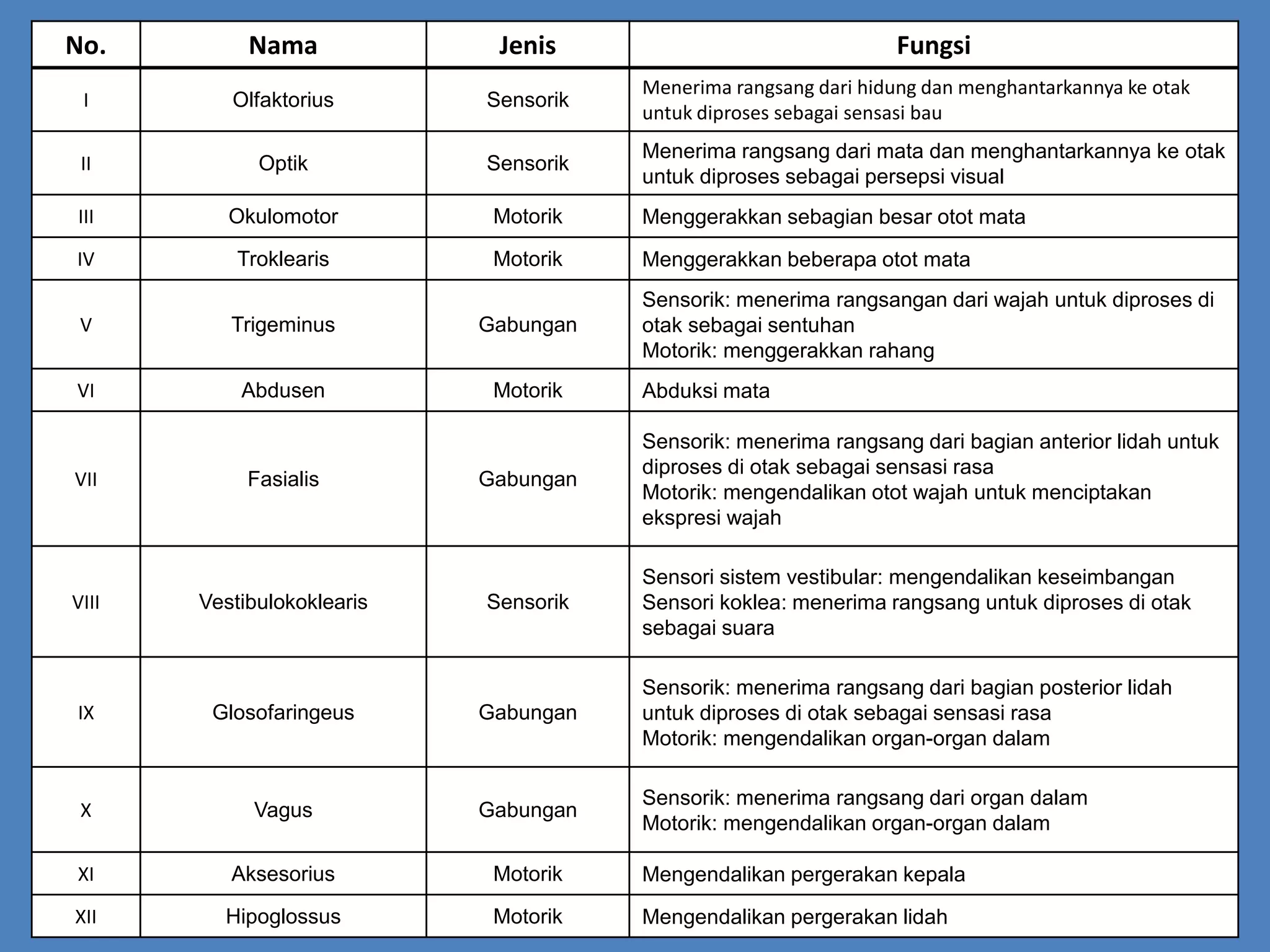 Sistem Saraf (Biologi) | PPTX