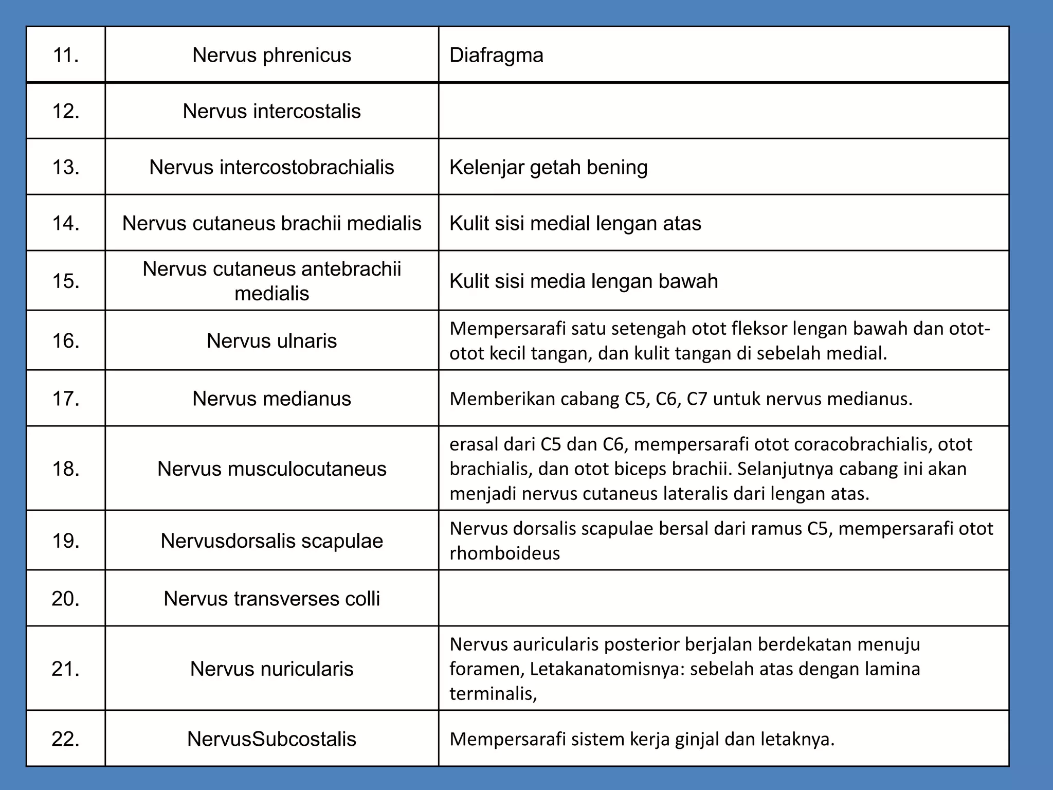 Sistem Saraf (Biologi) | PPTX