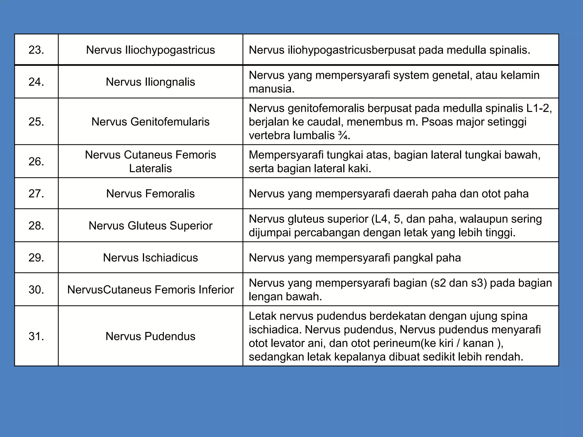 Sistem Saraf (Biologi) | PPTX